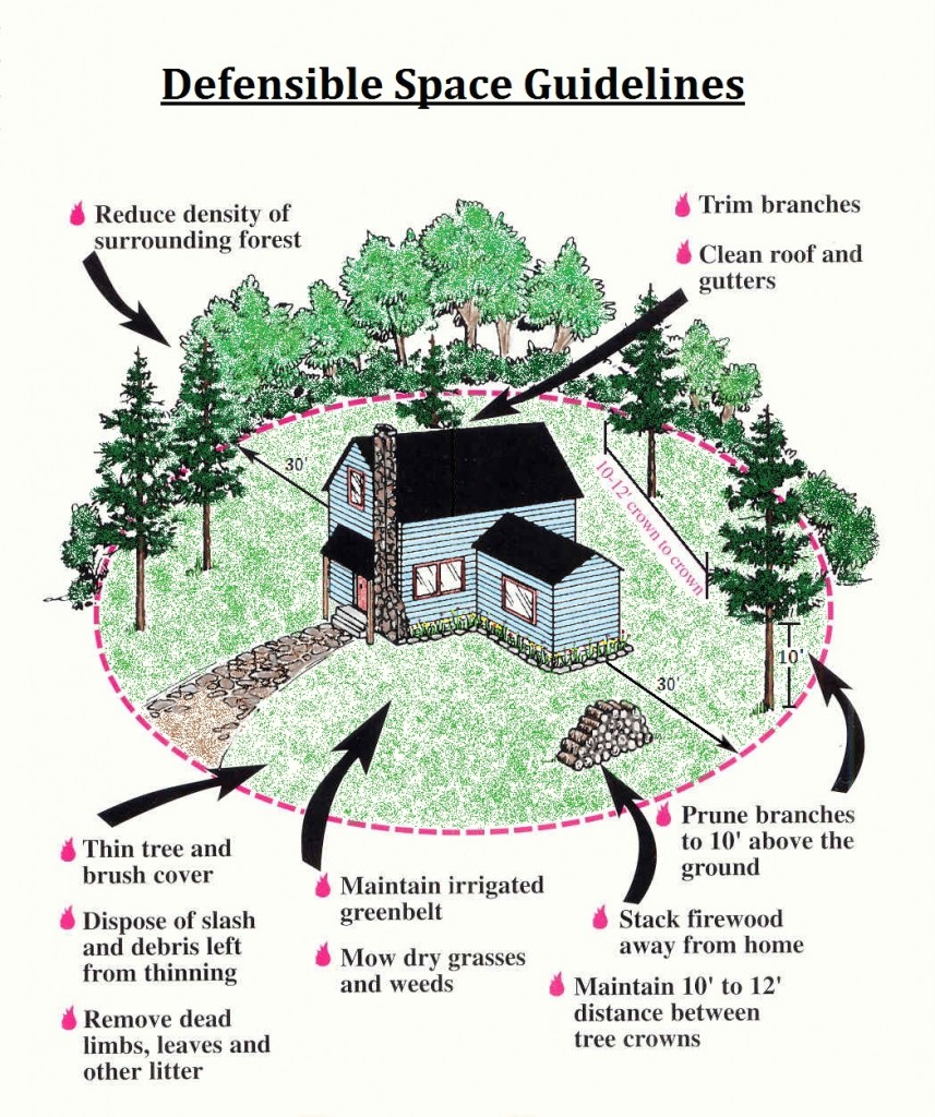 Defensible Space Guidelines | Park City Fire District